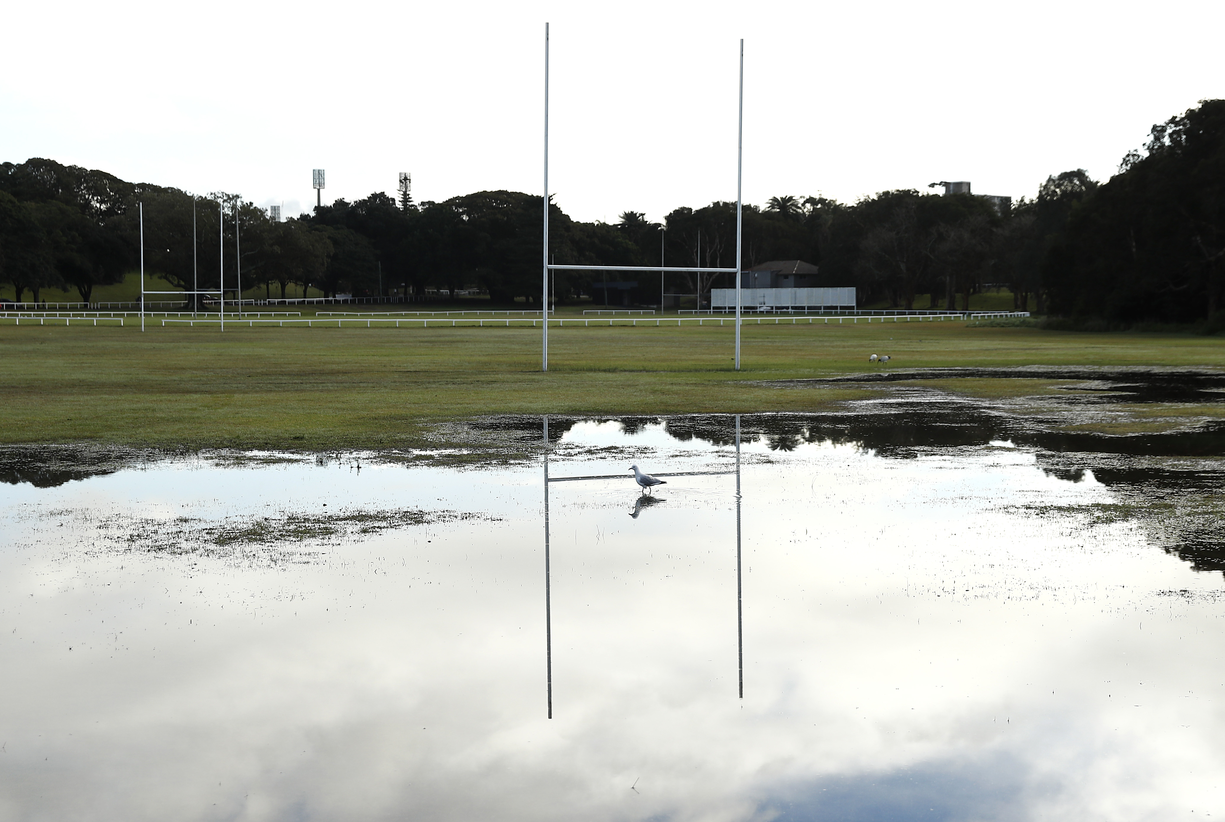 Landmark report examines future climate change impacts on rugby